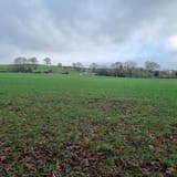 Redesmere and Capesthorne Circular, Cheshire, England - 106 Reviews ...
