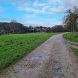 Redesmere and Capesthorne Circular, Cheshire, England - 106 Reviews ...