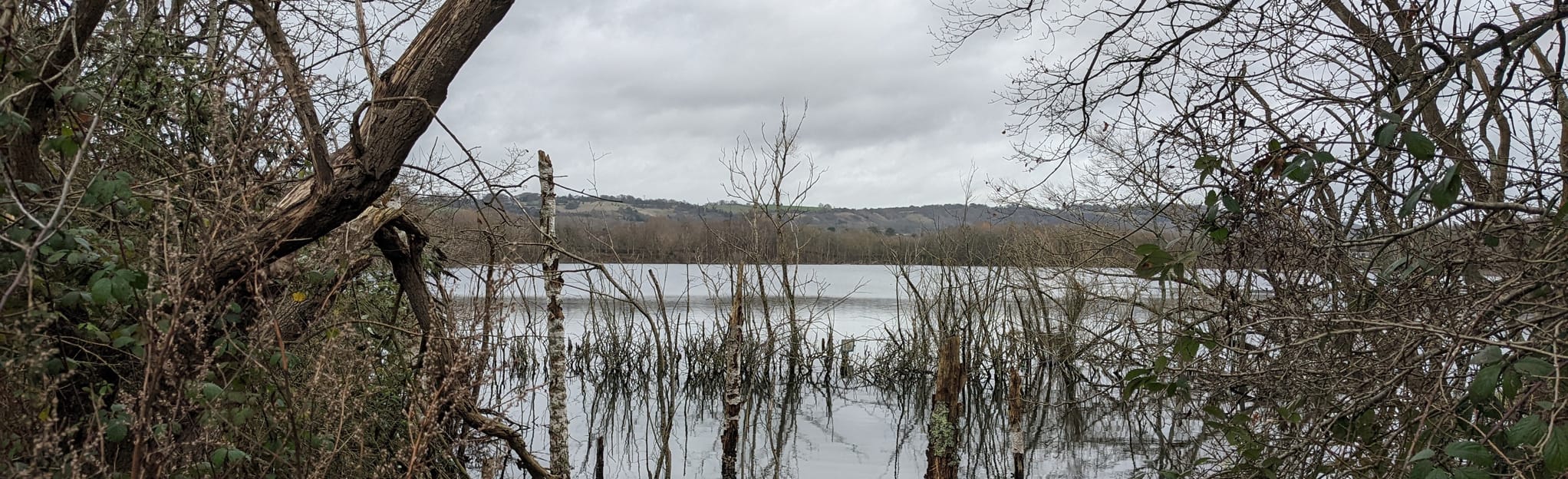 Mercer’s Park Circular: 19 Reviews, Map - Surrey, England | AllTrails