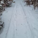 Tarrywile Park Trail, Connecticut - 619 Reviews, Map | AllTrails