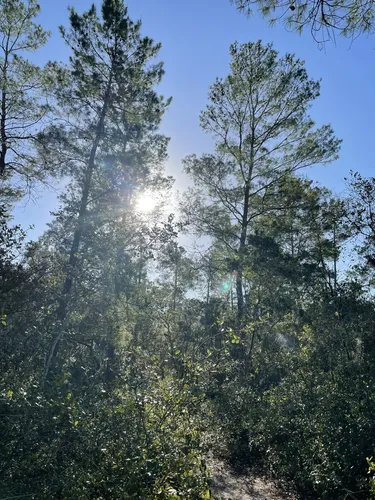 Best Hikes and Trails in Jay B. Starkey Wilderness Park | AllTrails