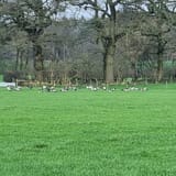 Redesmere and Capesthorne Circular, Cheshire, England - 106 Reviews ...