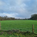 Redesmere and Capesthorne Circular, Cheshire, England - 106 Reviews ...