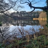 Redesmere and Capesthorne Circular, Cheshire, England - 106 Reviews ...