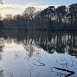Redesmere and Capesthorne Circular, Cheshire, England - 106 Reviews ...