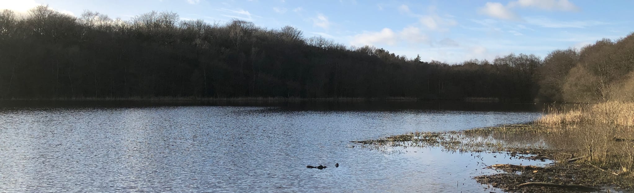 Wyndley Leisure Centre - Sutton Park : 86 Photos - Midlands de l'Ouest ...