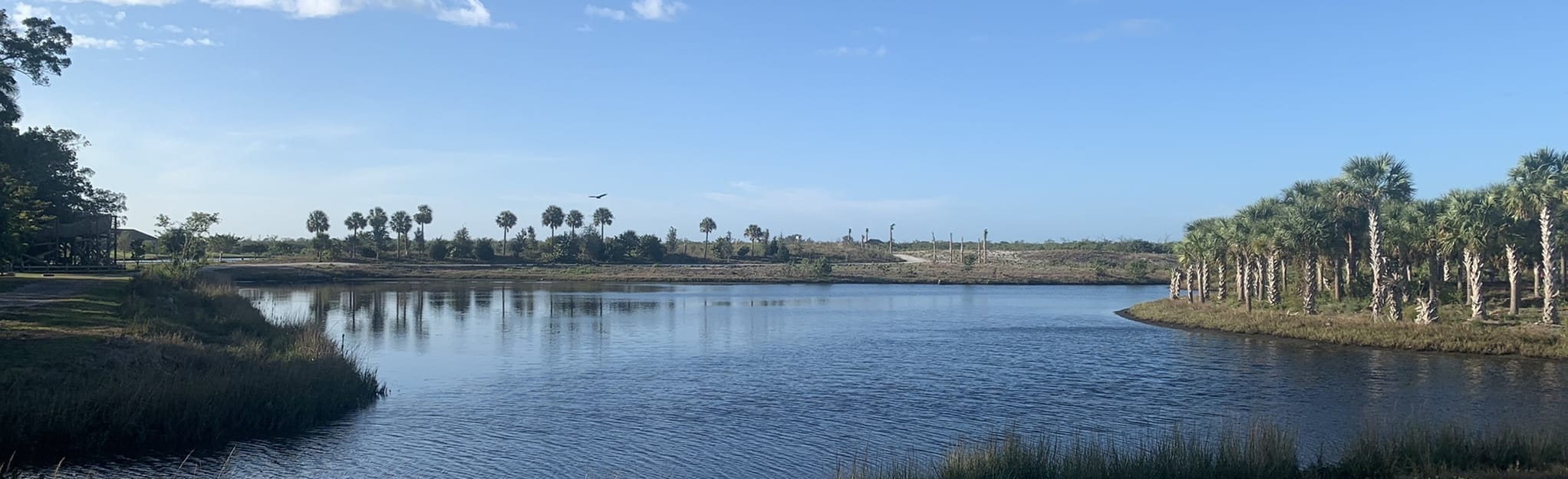 Eagle Loop, Florida - 179 Reviews, Map | AllTrails