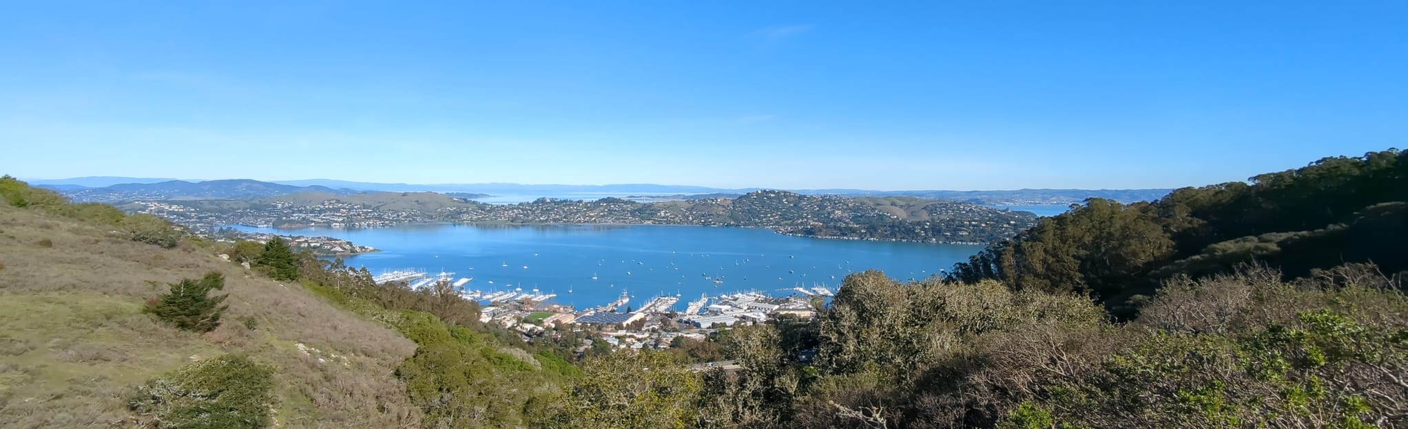 Gerbode Valley Loop, California - 408 Reviews, Map | AllTrails