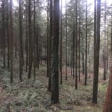Center Parcs Longleat Forest Circular, Wiltshire, England - 115 Reviews ...