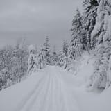 Palouse Divide to Lane's Lookout, Idaho - 35 Reviews, Map | AllTrails