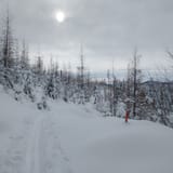 Palouse Divide to Lane's Lookout, Idaho - 35 Reviews, Map | AllTrails