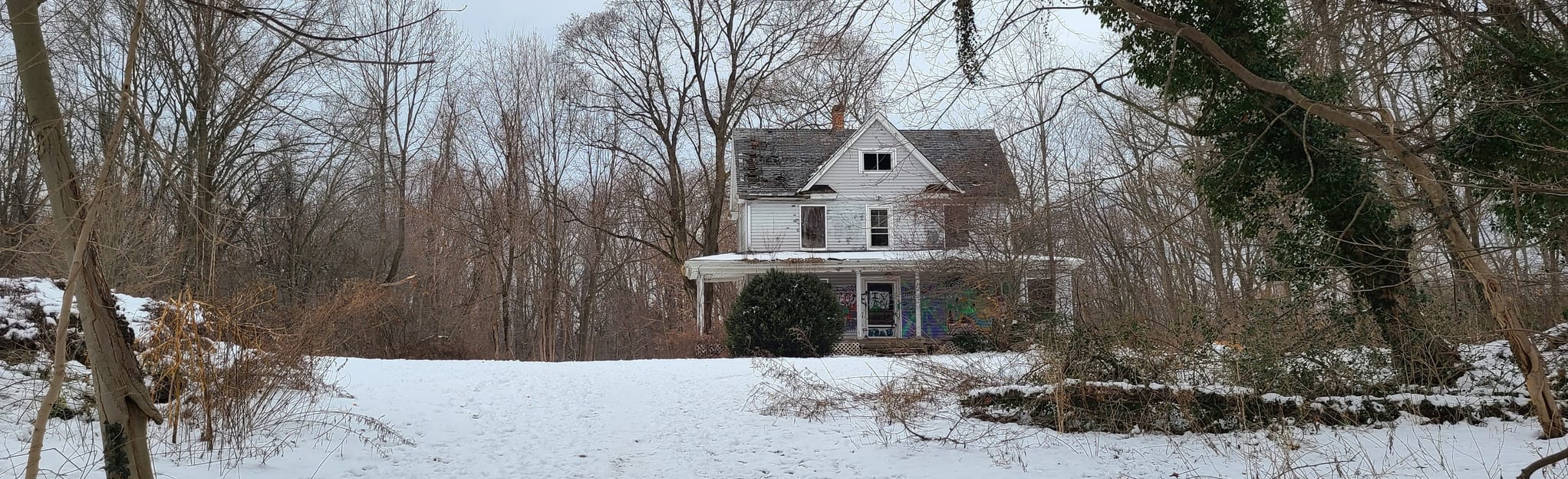 Ward Acres Green Trail: 27 Reviews, Map - New York | AllTrails