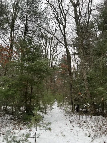 Best Kid Friendly Trails in Cresco | AllTrails