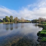 Redesmere and Capesthorne Circular, Cheshire, England - 106 Reviews ...
