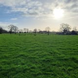 Redesmere and Capesthorne Circular, Cheshire, England - 124 Reviews ...