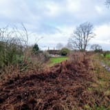Redesmere and Capesthorne Circular, Cheshire, England - 124 Reviews ...