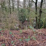 Redesmere and Capesthorne Circular, Cheshire, England - 124 Reviews ...