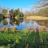 Redesmere and Capesthorne Circular, Cheshire, England - 106 Reviews ...