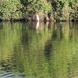 Redesmere and Capesthorne Circular, Cheshire, England - 106 Reviews ...