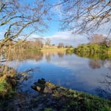 Redesmere and Capesthorne Circular, Cheshire, England - 106 Reviews ...