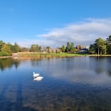 Redesmere and Capesthorne Circular, Cheshire, England - 106 Reviews ...