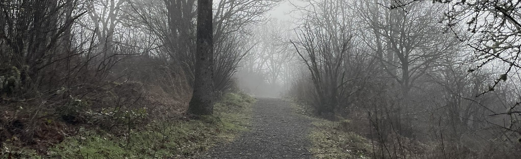Western Border, Northern Access and Wetland Loop, Washington - 54 ...