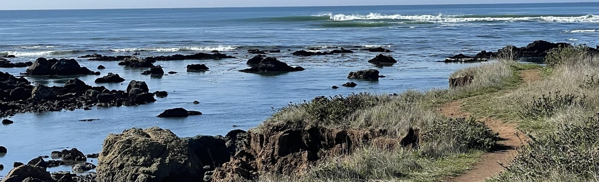 Estero Bluffs Trail, California - 385 Reviews, Map | AllTrails
