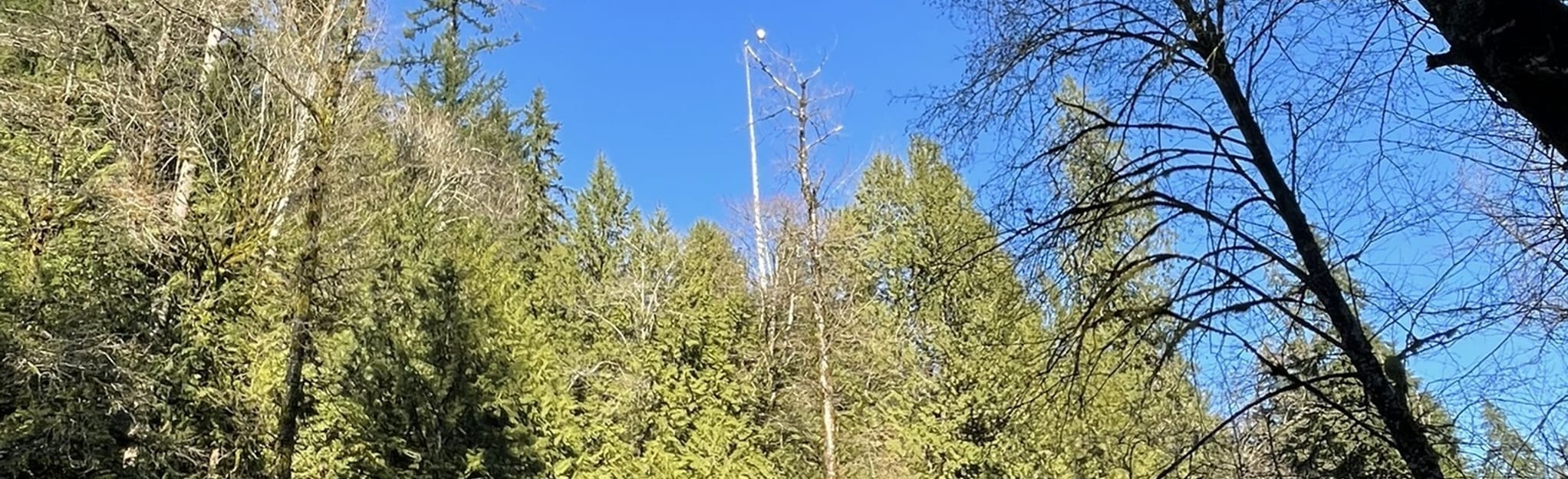 Allco Park Loop, British Columbia, Canada - 41 Reviews, Map | AllTrails