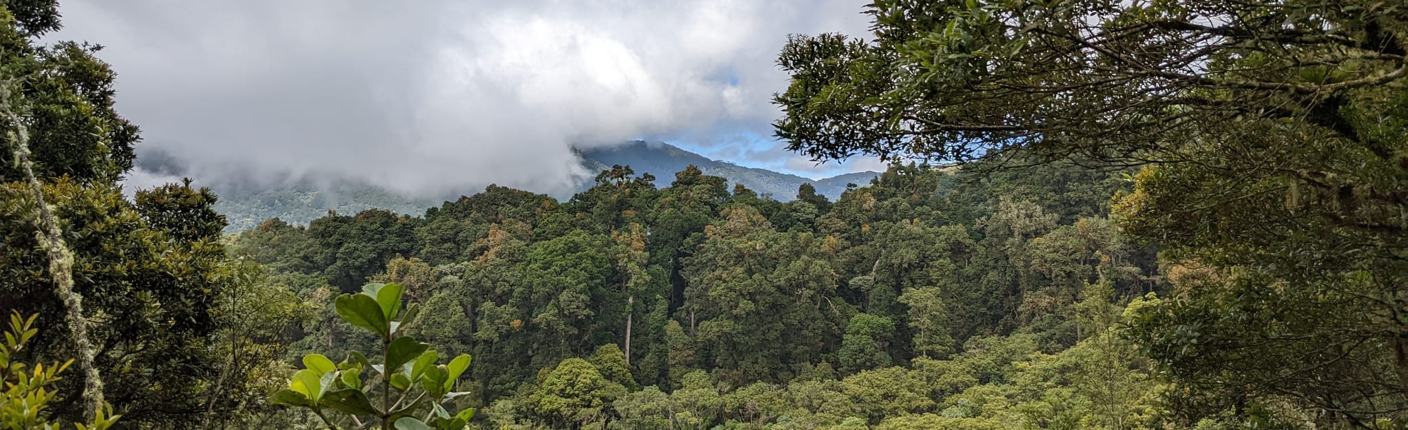 San Gerardo de Dota, San José, Costa Rica - 6 Reviews, Map | AllTrails