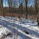 Whigg Meadow via Mud Gap Trail, North Carolina - 109 Reviews, Map ...