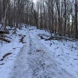 Whigg Meadow via Mud Gap Trail, North Carolina - 125 Reviews, Map ...