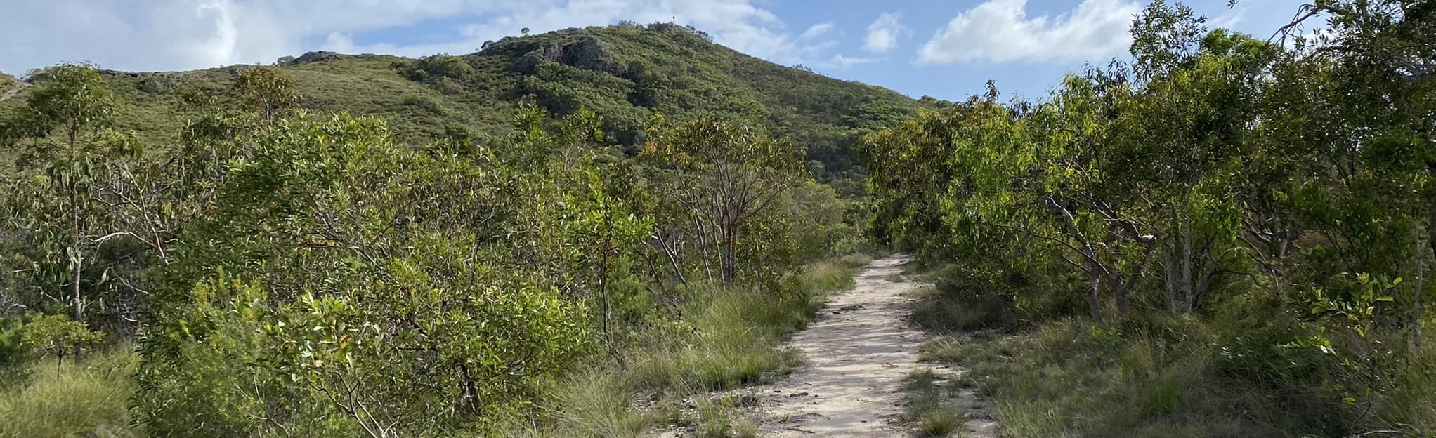 Emu Mountain via Hakea Walk and Coastal Pathway: 7 Reviews, Map ...
