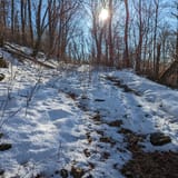 Whigg Meadow via Mud Gap Trail, North Carolina - 125 Reviews, Map ...