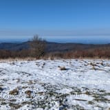 Whigg Meadow via Mud Gap Trail, North Carolina - 107 Reviews, Map ...