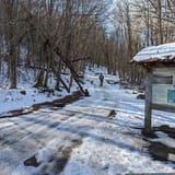 Whigg Meadow via Mud Gap Trail, North Carolina - 107 Reviews, Map ...