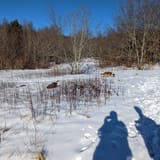 Whigg Meadow via Mud Gap Trail, North Carolina - 125 Reviews, Map ...