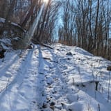 Whigg Meadow via Mud Gap Trail, North Carolina - 107 Reviews, Map ...