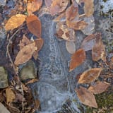 Whigg Meadow via Mud Gap Trail, North Carolina - 125 Reviews, Map ...