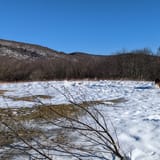 Whigg Meadow via Mud Gap Trail, North Carolina - 109 Reviews, Map ...