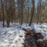 Whigg Meadow via Mud Gap Trail, North Carolina - 125 Reviews, Map ...
