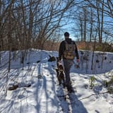 Whigg Meadow via Mud Gap Trail, North Carolina - 105 Reviews, Map ...