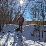 Whigg Meadow via Mud Gap Trail, North Carolina - 109 Reviews, Map ...