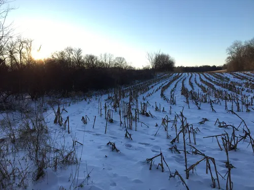 Best Hikes and Trails in New Munster Wildlife Area | AllTrails