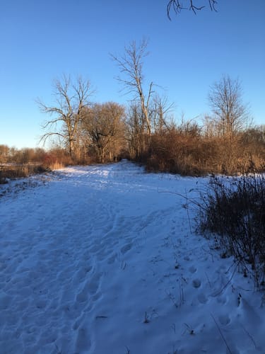 Best Hikes and Trails in New Munster Wildlife Area | AllTrails