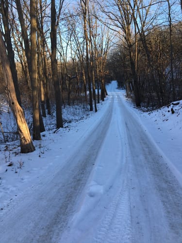 Best Hikes and Trails in New Munster Wildlife Area | AllTrails