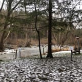 Genesee County Park and Forest Trail, New York - 284 Reviews, Map ...