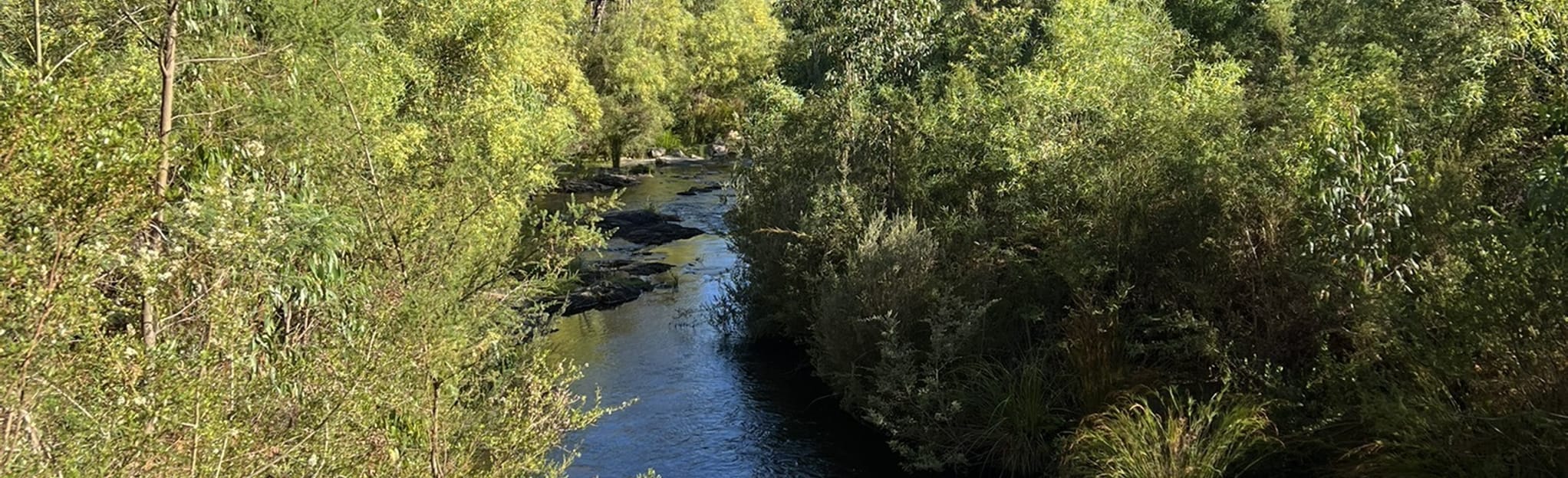 Fish Falls via Mackenzie Falls: 418 fotos - Victoria, Australia | AllTrails