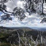 Porcupine Rocks Loop, New South Wales, Australia - 40 Reviews, Map ...