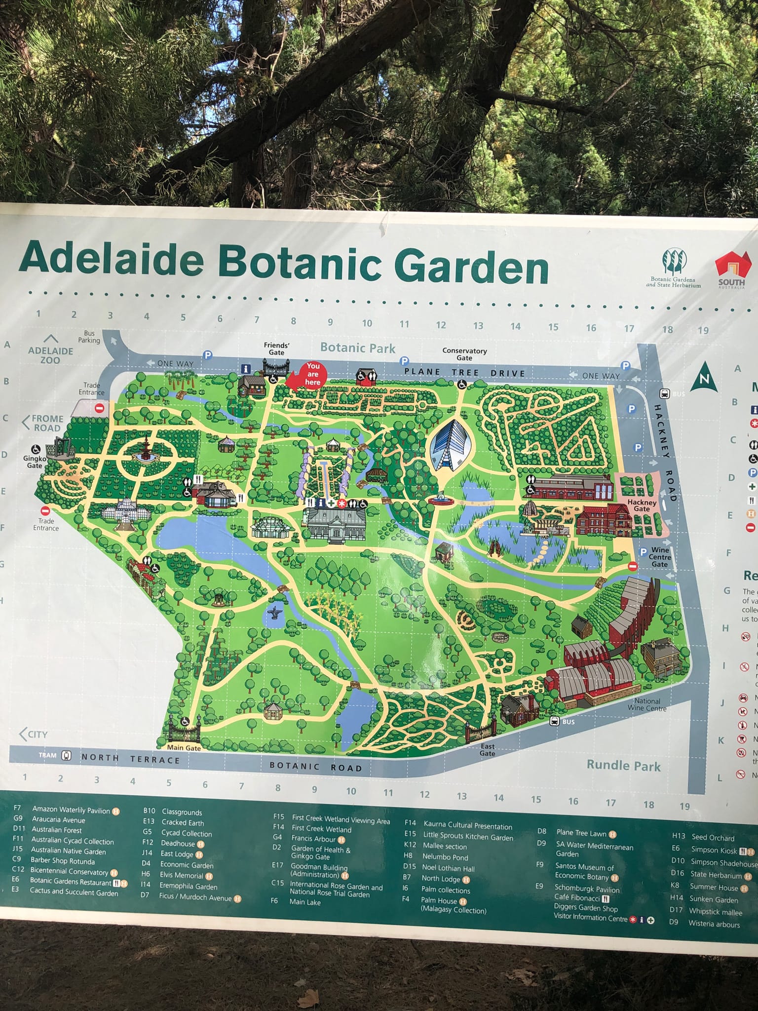 Adelaide Botanic Gardens Map | Fasci Garden