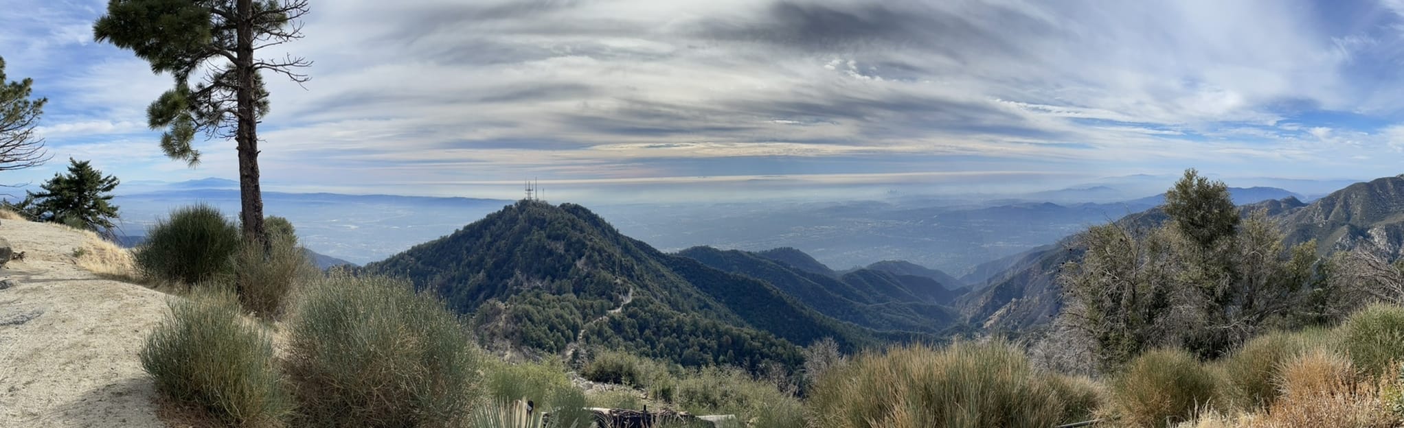 Mount Wilson Toll Road, California - 302 Reviews, Map | AllTrails